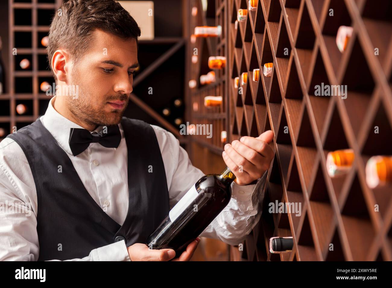 Choosing the right wine. Confident male sommelier examining wine bottle ...