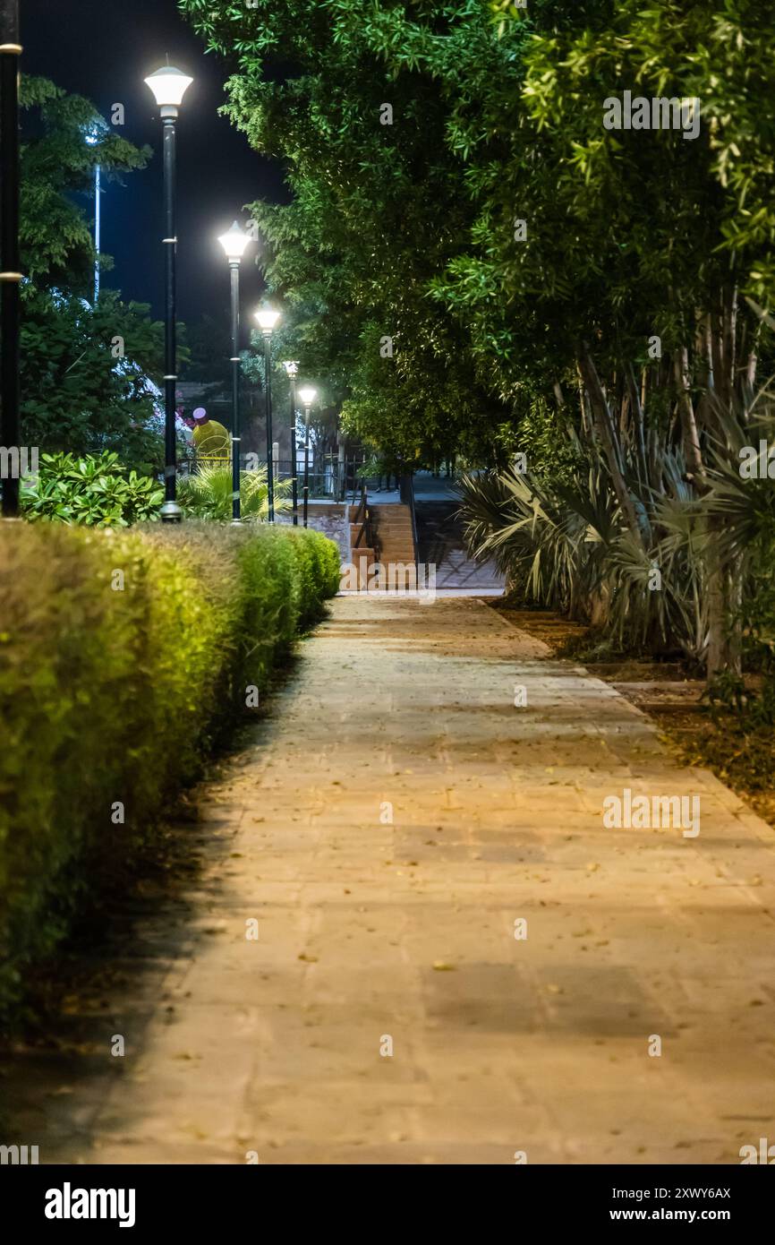 street walking path with tree at evening from low angle Stock Photo - Alamy