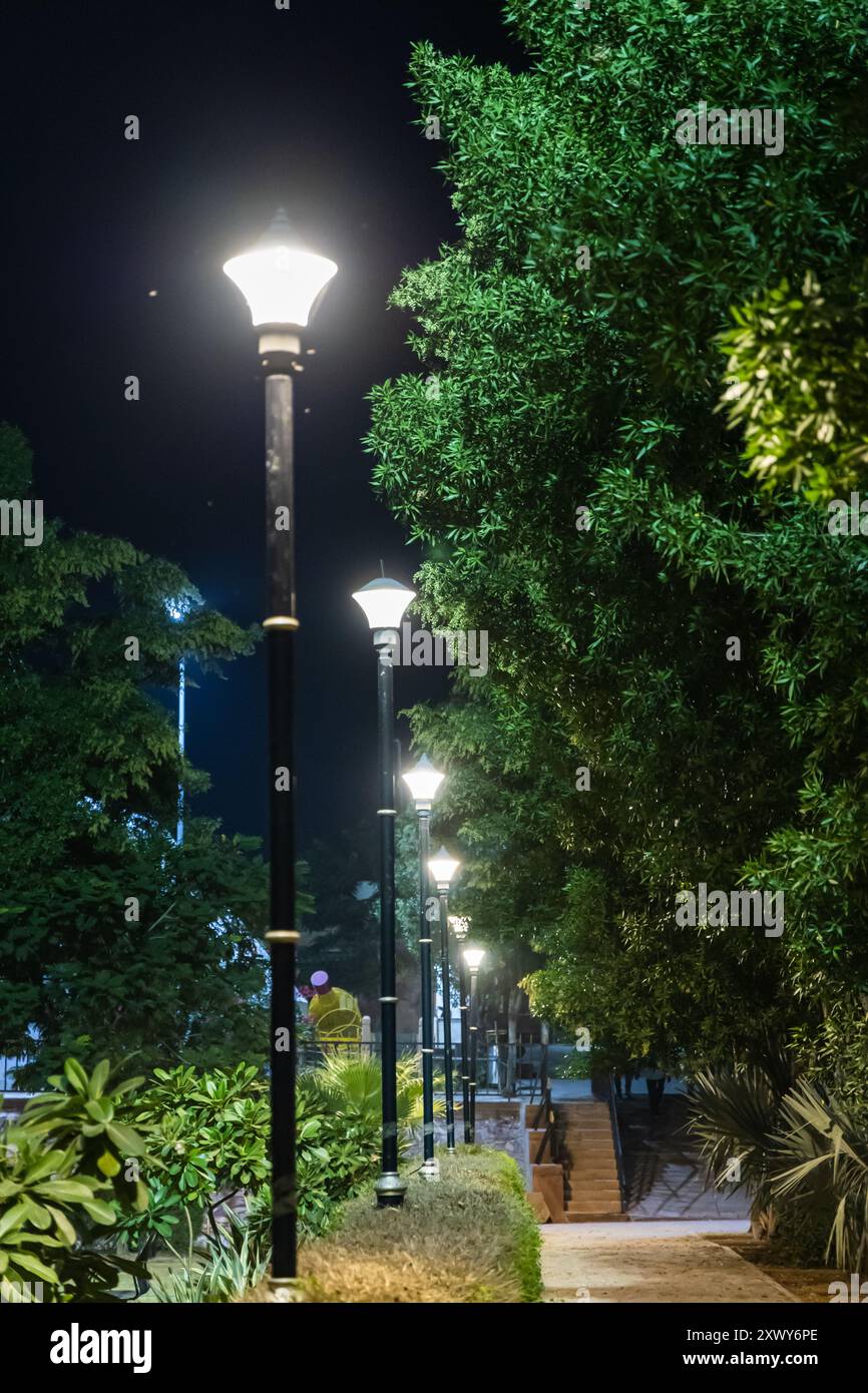 fluorescent street light with green tree at evening from flat angle ...