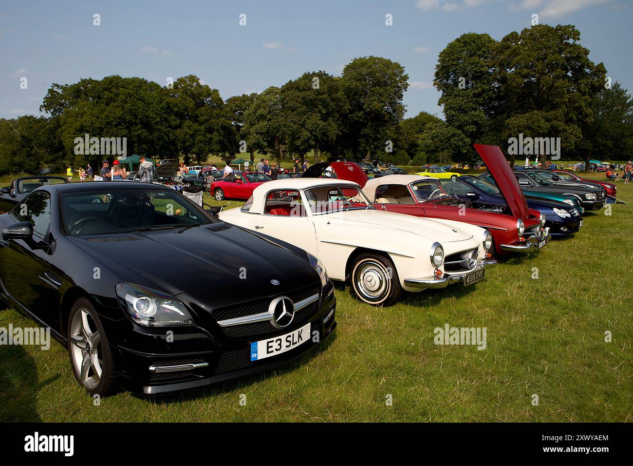 Mercedes Benz line up at the Classics at Penshurst Car Show at ...