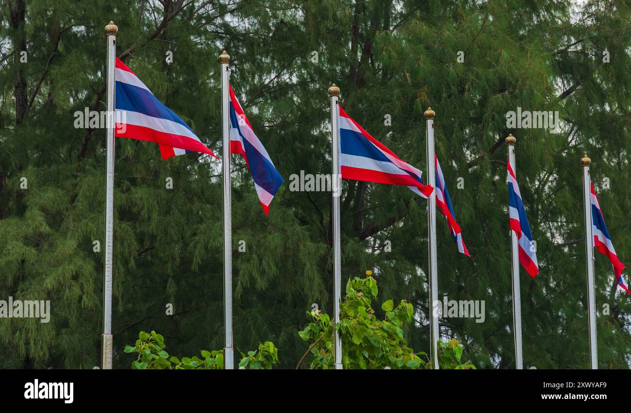 Many of Thailand flags waving on top of flagpoles. Red, blue, and white ...
