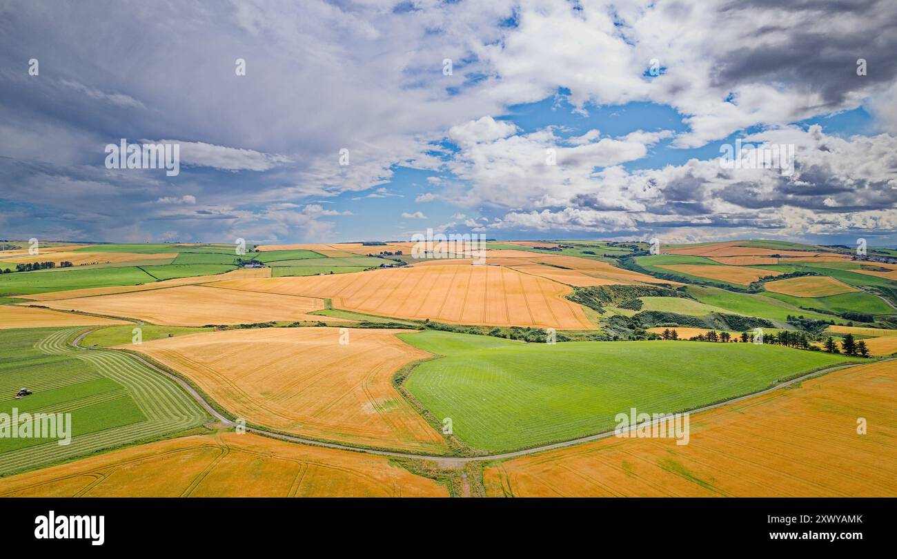 Cutting fields pattern hi-res stock photography and images - Alamy