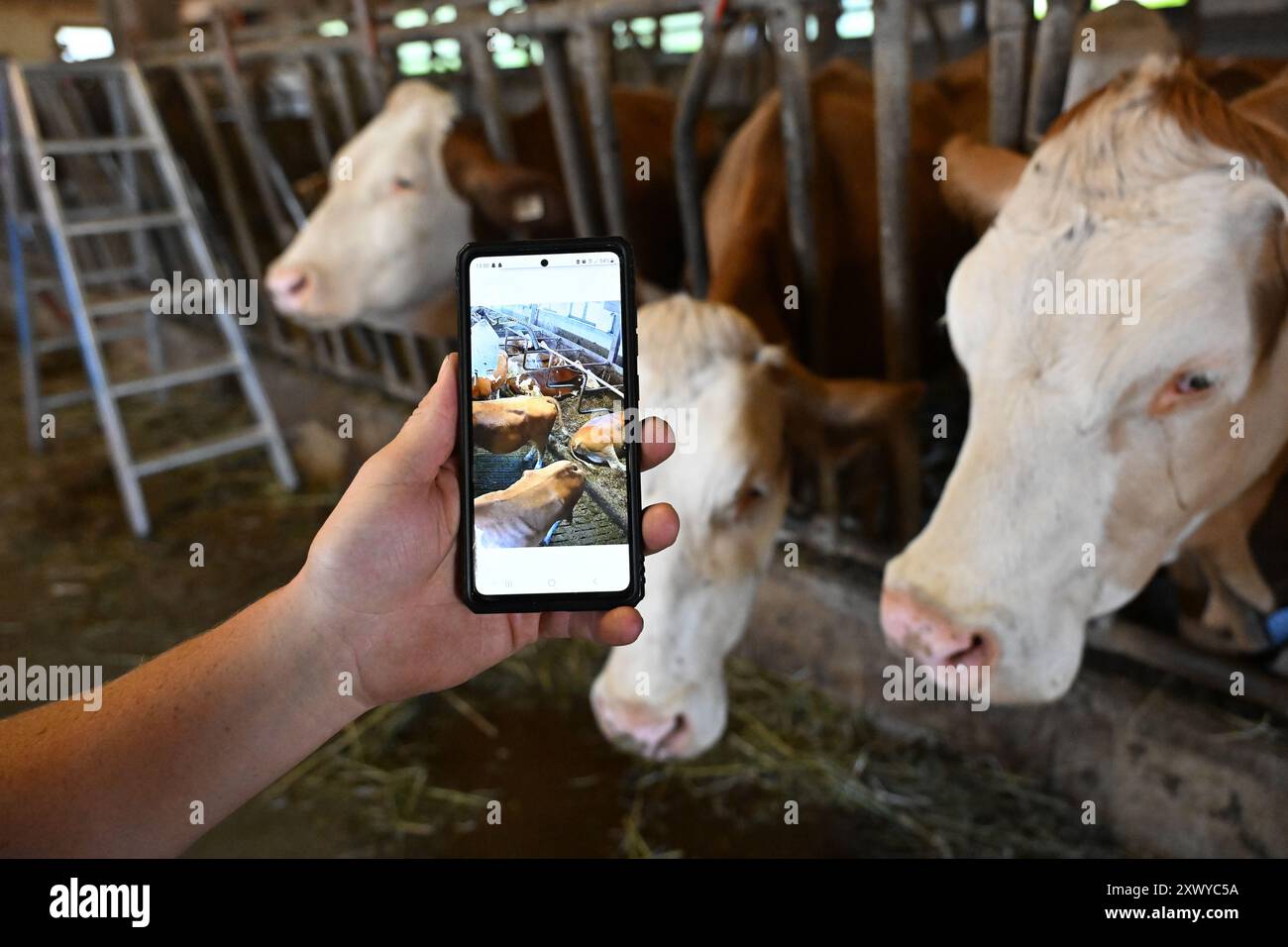 THEME PICTURE - Project 'image of the future': In future, farmers will ...