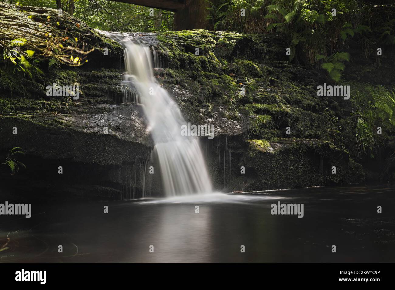 Blackling Hole waterfall in summer, Hamsterley Forest, Teesdale, County ...