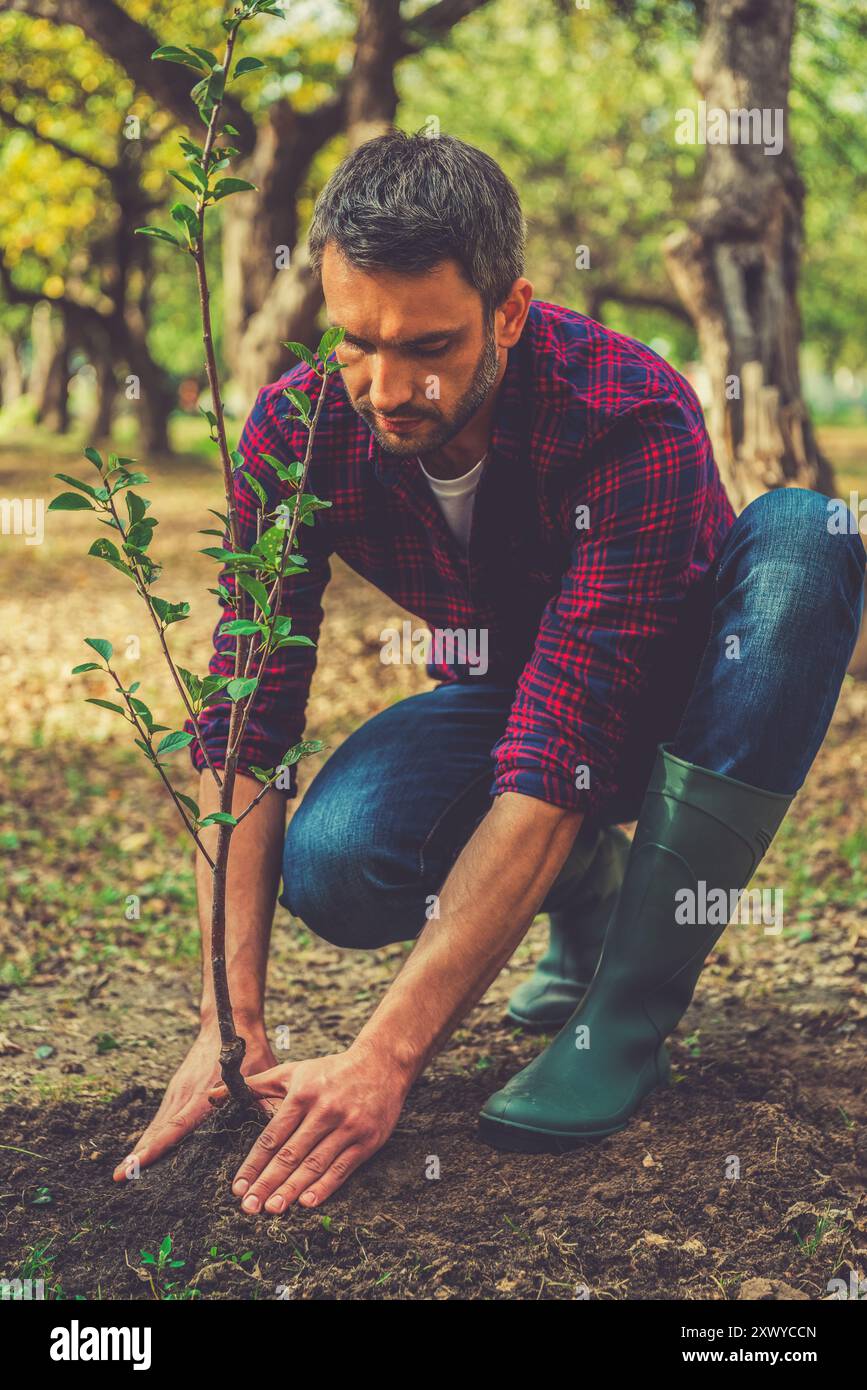 Planting new life. Confident young man planting a tree while working in ...