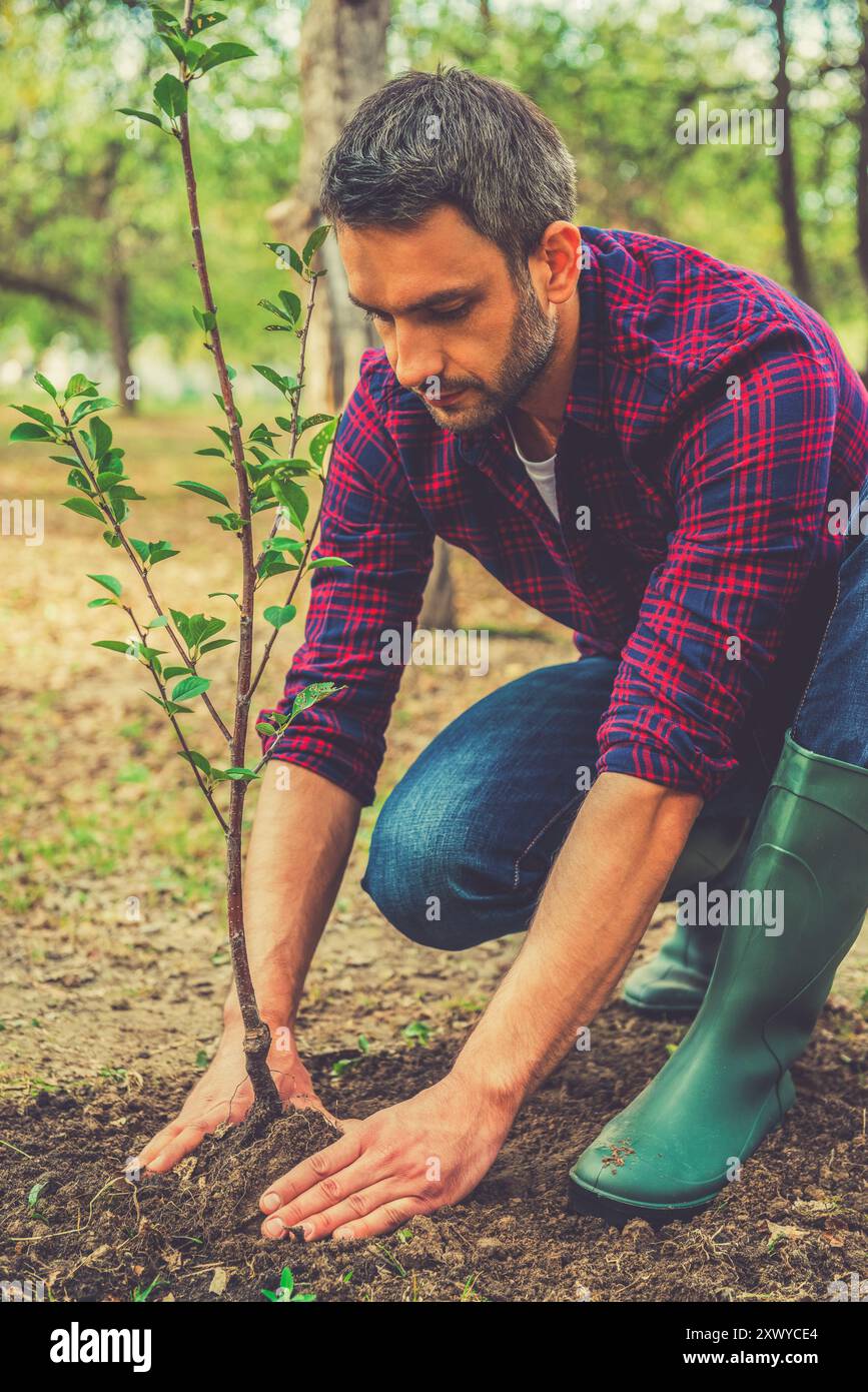 New tree in my garden. Serious young man planting the tree while ...