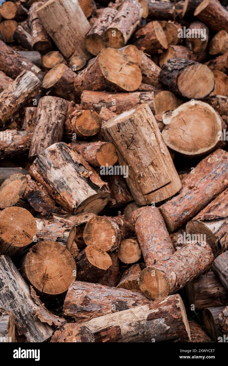 Wood. Close-up of plenty of logs laying on the ground Stock Photo - Alamy