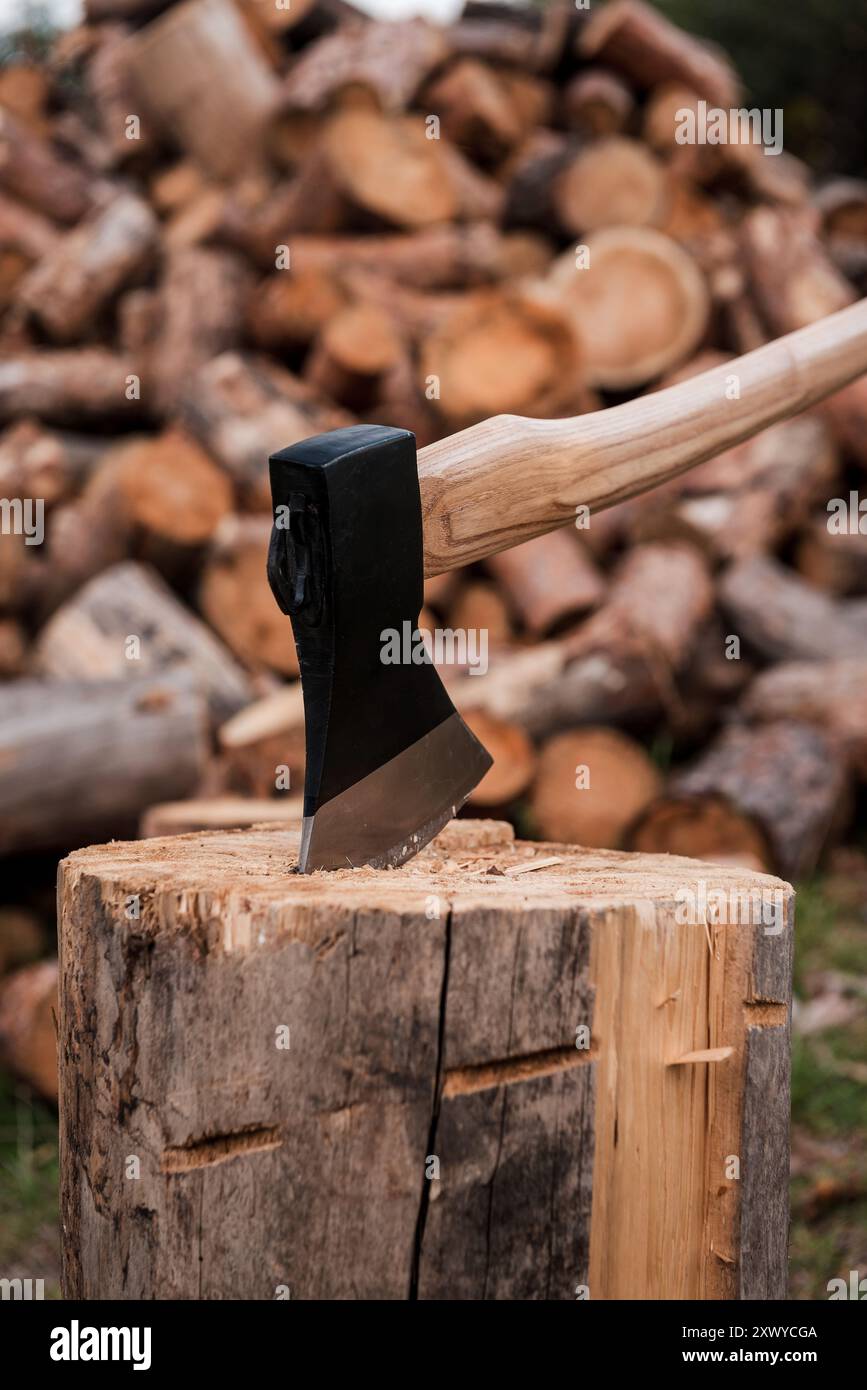 Ready for cutting timber. Close-up of axe cutting log while other logs ...