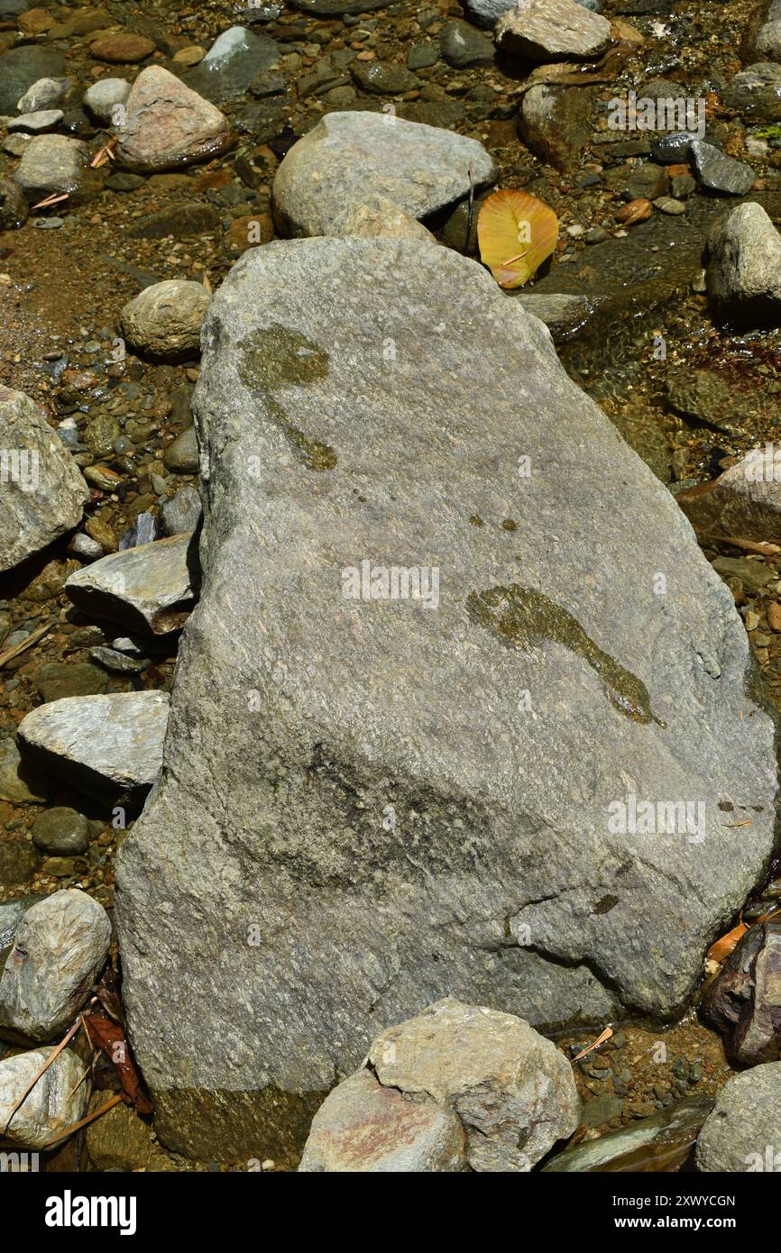Wet footprints on rock near Castara waterfall in Tobago Stock Photo - Alamy