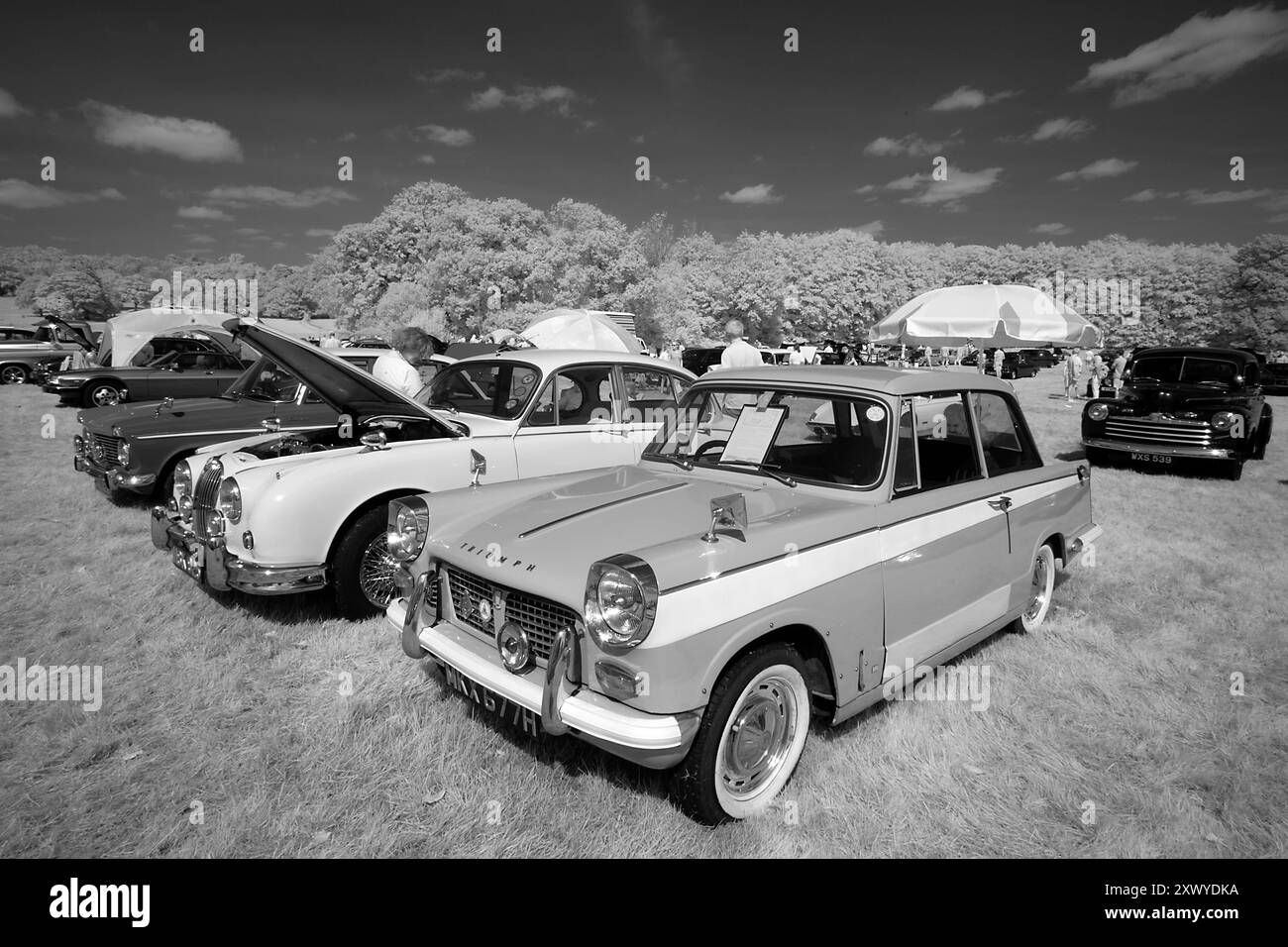 Triumph Herald & Jaguar mk 2 at the Classics at Penshurst Car Show at ...