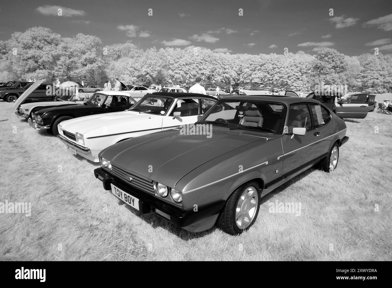 Ford Capris at the Classics at Penshurst Car Show at Penshurst Place ...