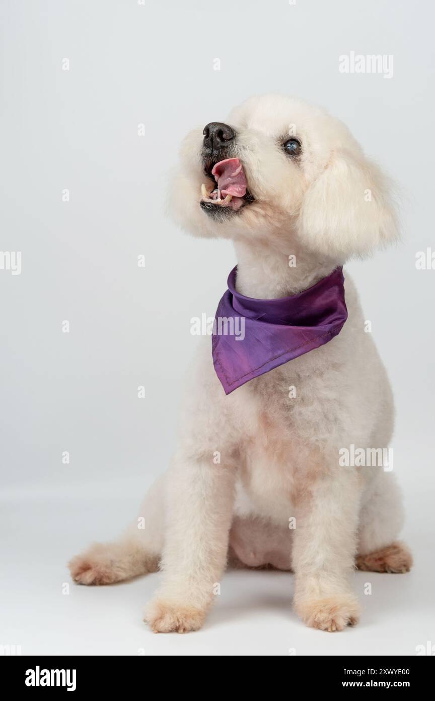 The hungry hi-res stock photography and images - Alamy