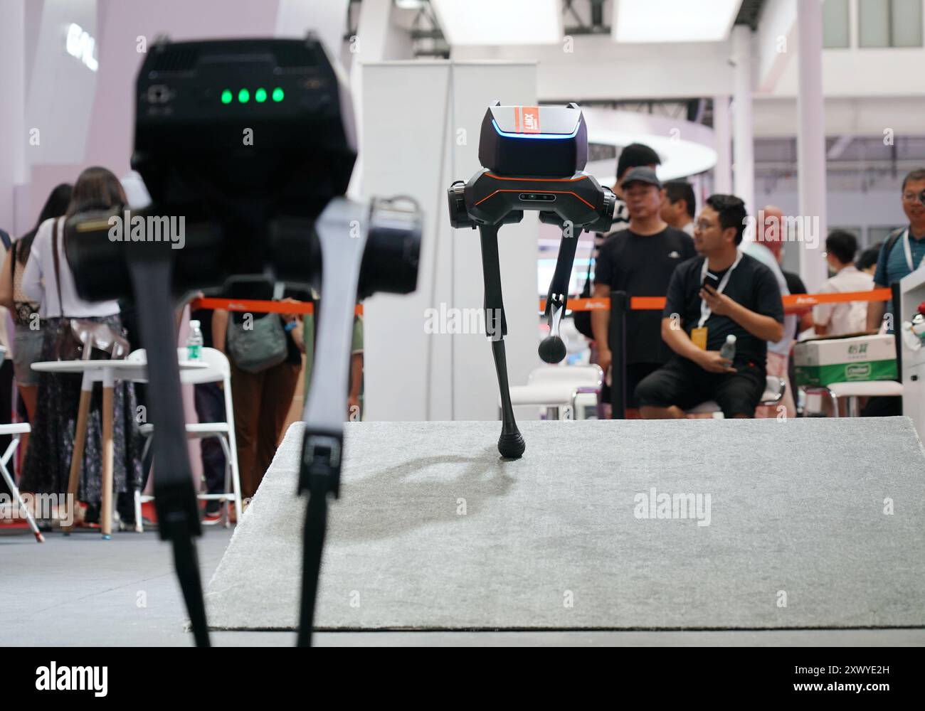 Beijing, China. 21st Aug, 2024. A biped robot demonstrates climbing ...