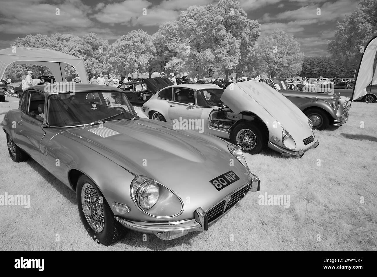 Jaguar E-types FHC Series 2 at the Classics at Penshurst Car Show at ...