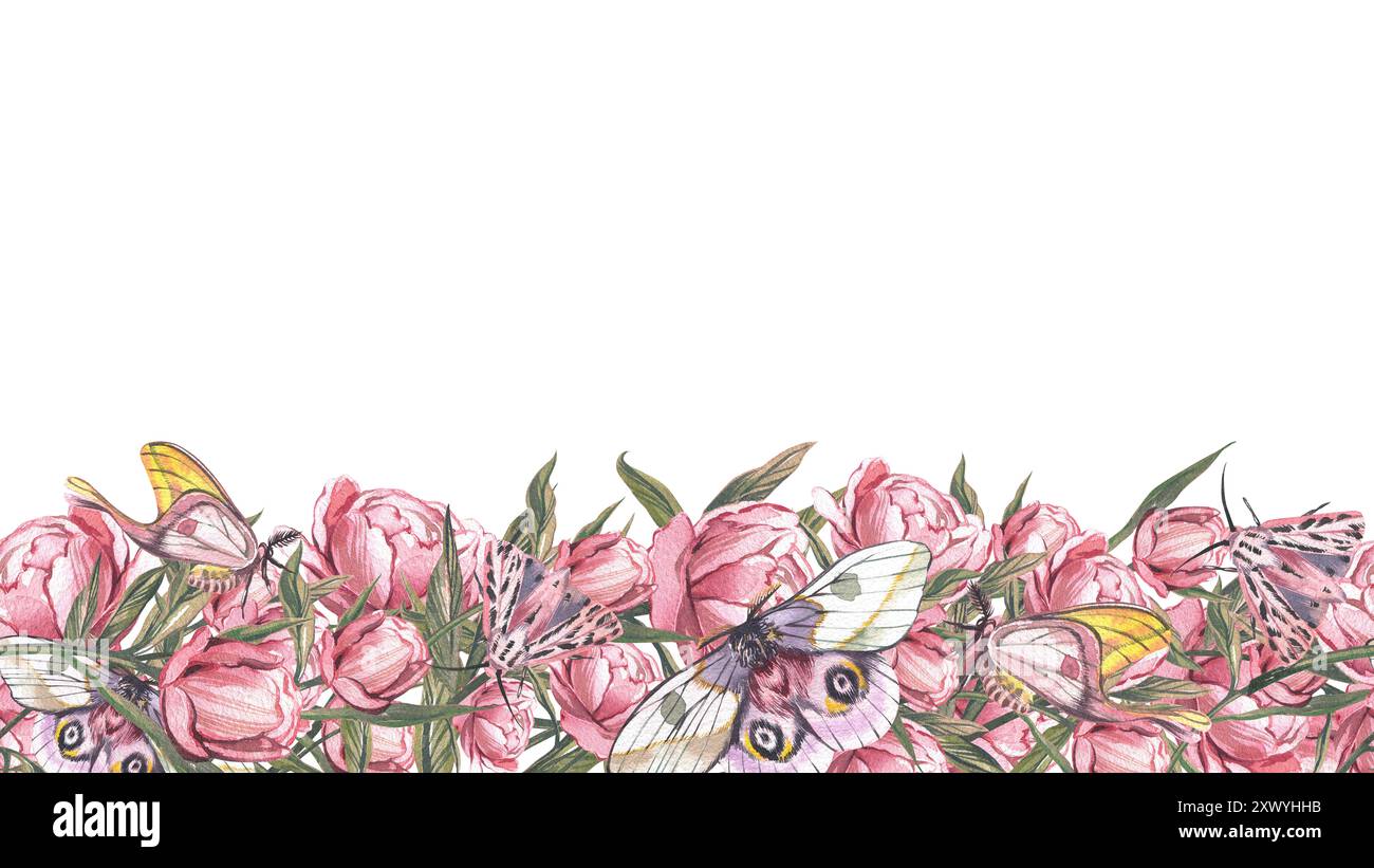 Seamless border butterfly with detailed wing, pink peony flower, bud ...