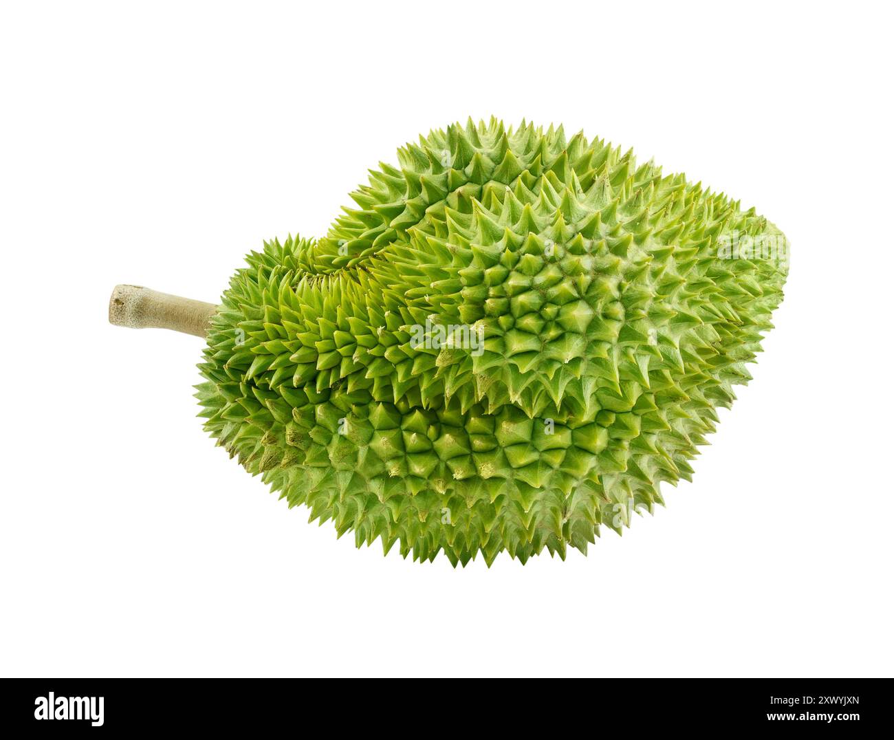 King of fruits, durian isolated on white background Stock Photo - Alamy