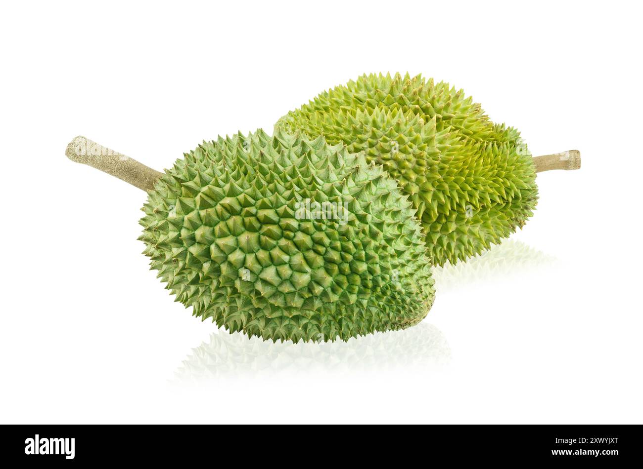 King of fruits, durian isolated on white background Stock Photo - Alamy