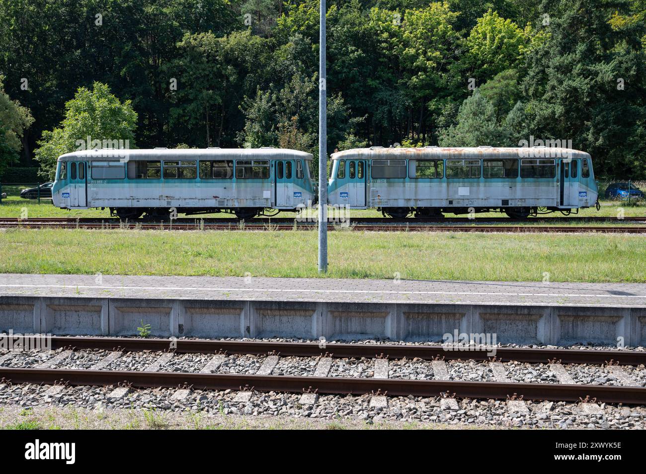 31.07.2024, Heringsdorf, Usedom, Mecklenburg-Vorpommern, Deutschland ...