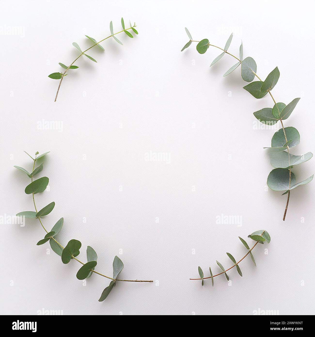 minimalist eucalyptus wreath flat lay on white background. stylish ...