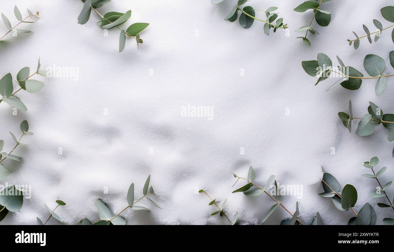 Christmas holiday festive eucalyptus branches on snow, flat lay border ...
