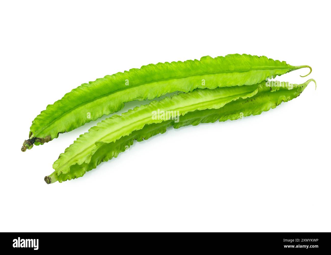 Winged bean on white background Stock Photo - Alamy