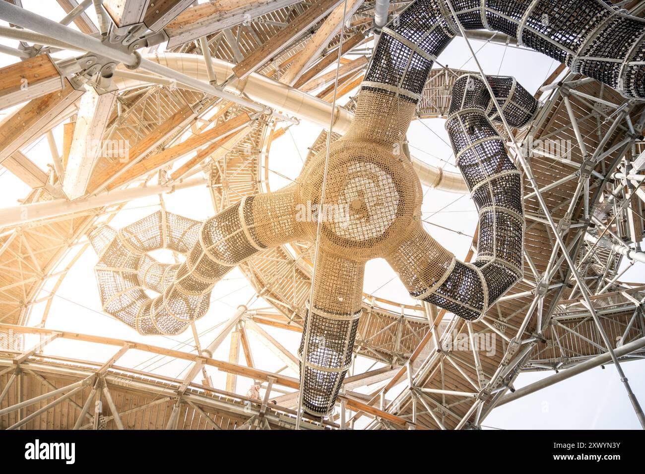 Looking up at a complex network of wooden beams and rope bridges inside ...