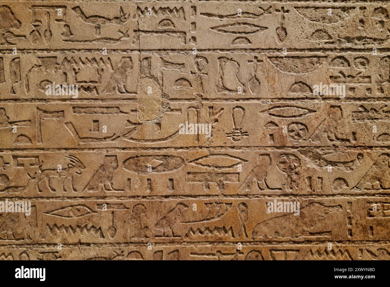 Ancient Egyptian hieroglyphics carved into a stone wall, showcasing ...
