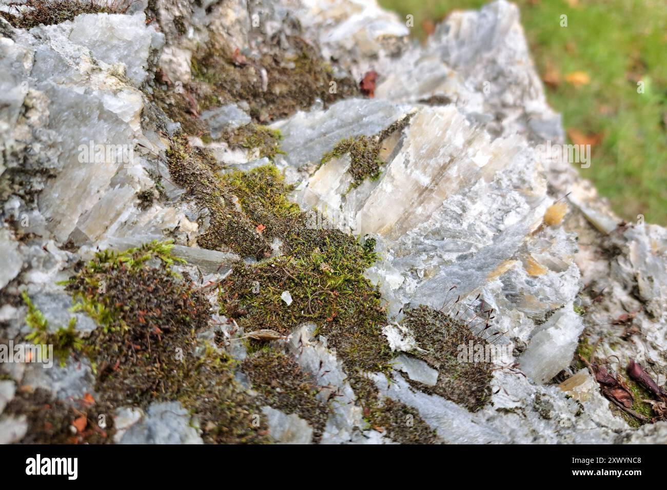 A close-up of a rock formation with moss growing between crystalline ...