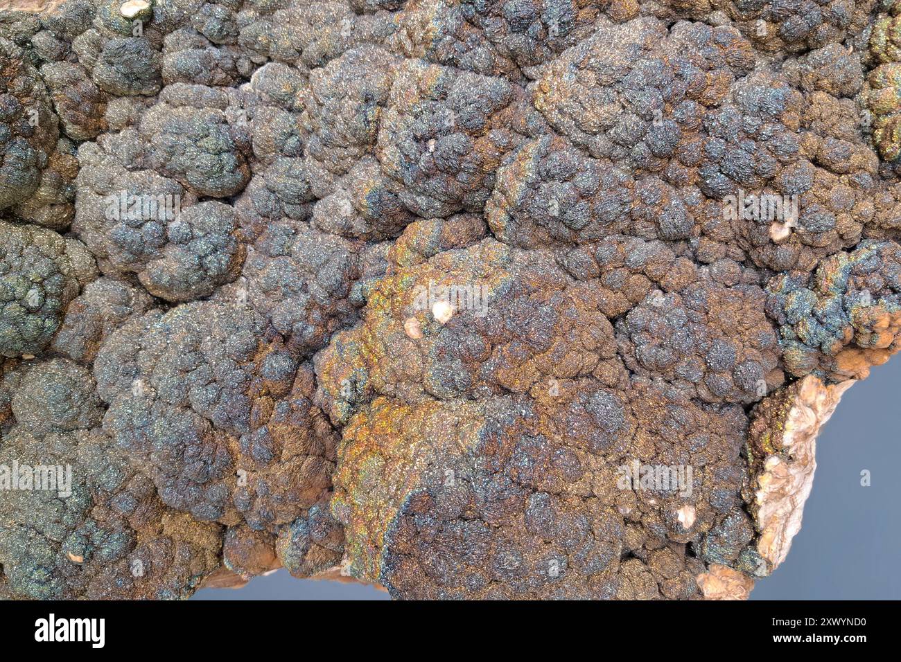 A close-up of a dark, textured mineral surface with bumpy, rounded ...