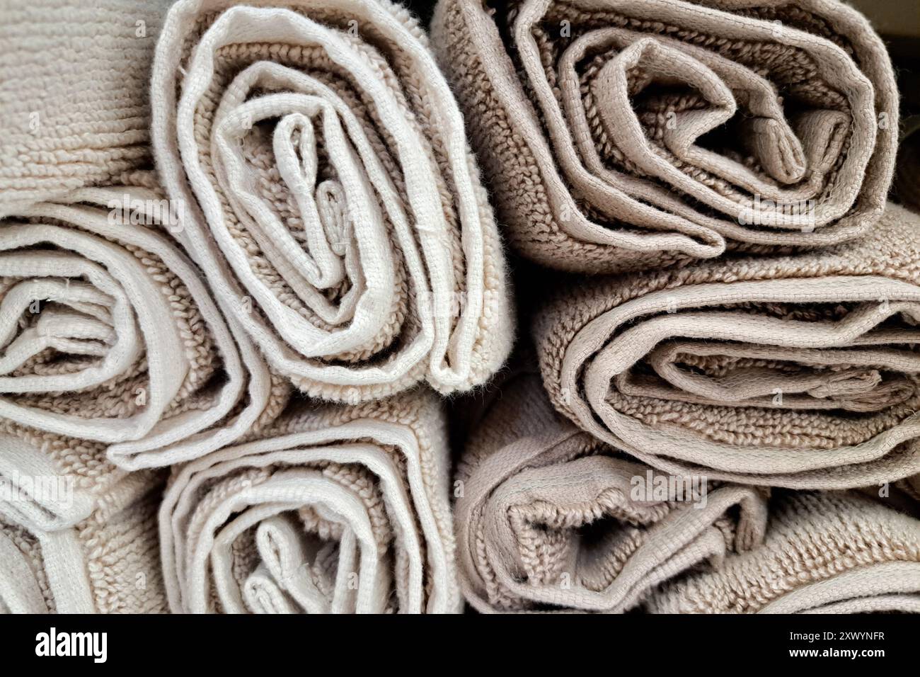 Rolled light-colored carpets in a store, close-up. Selection of carpets ...