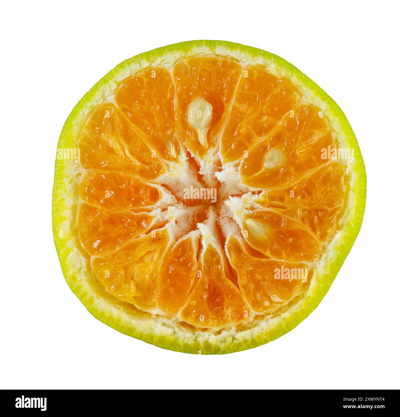 Section of seedless satsuma mandarin Stock Photo - Alamy