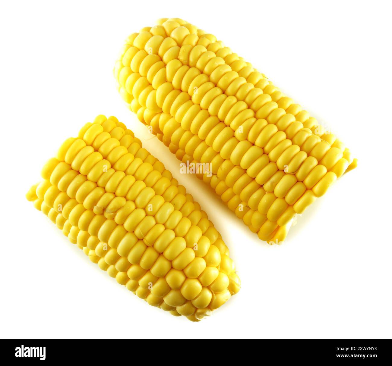 Fresh corn isolated on white Stock Photo - Alamy