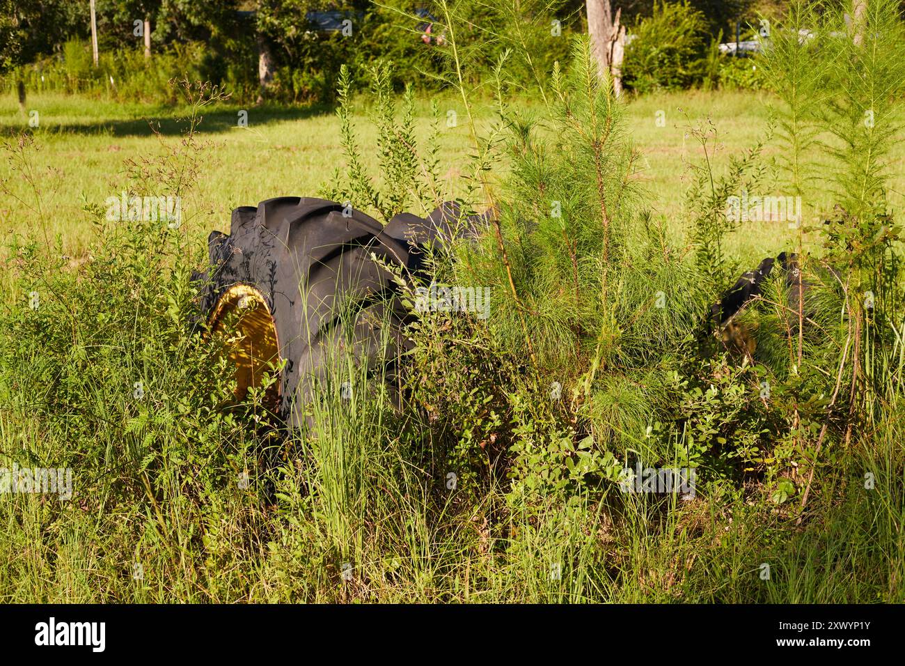 Old run down farm building hi-res stock photography and images - Alamy