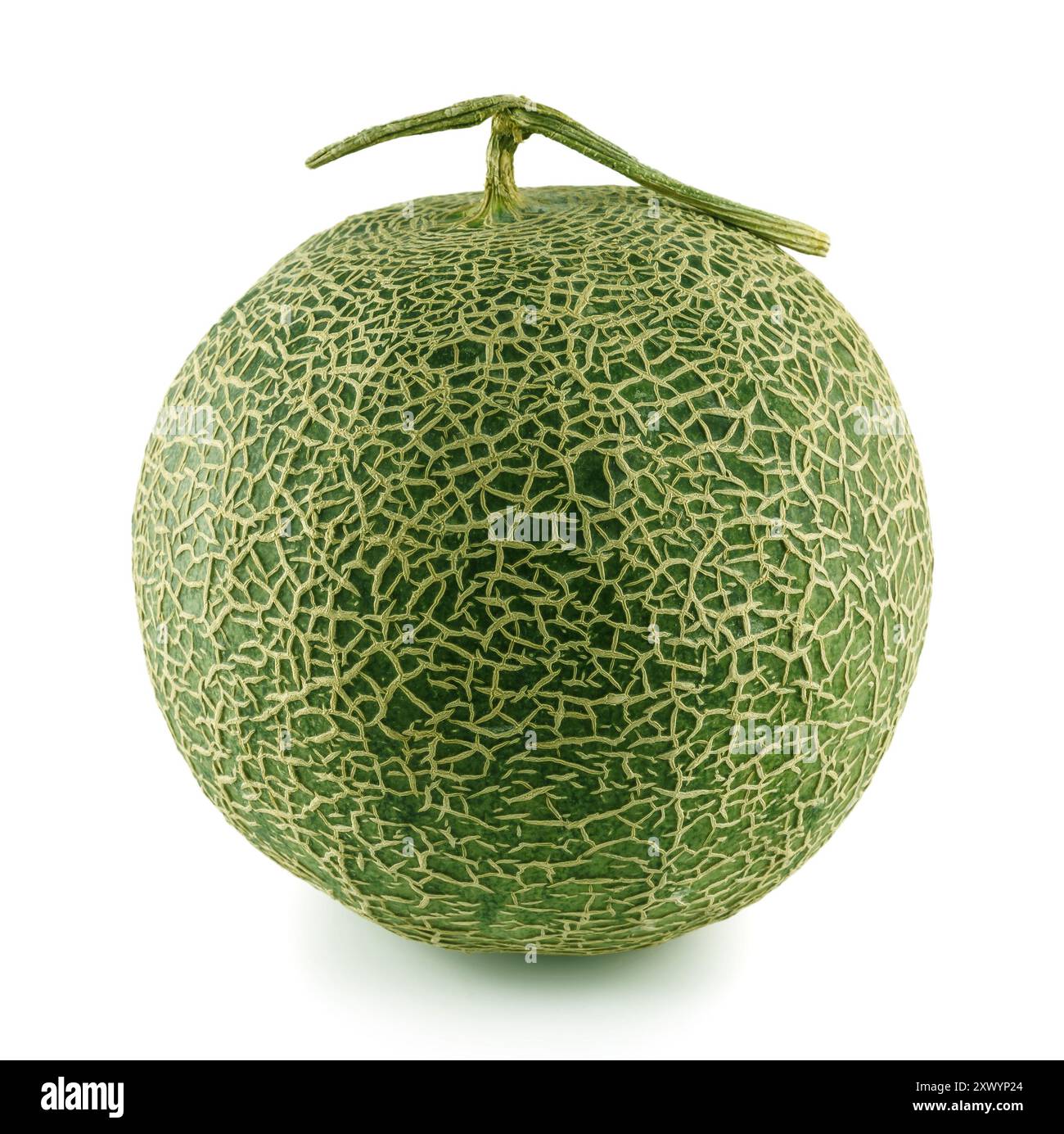 Netted melon on white background Stock Photo - Alamy
