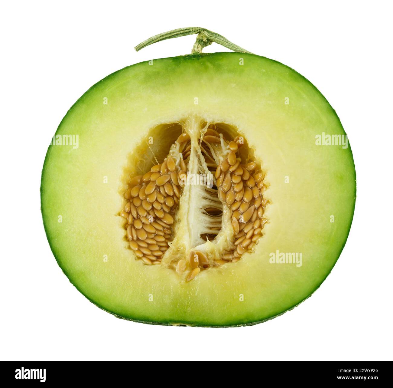 Netted melon on white background Stock Photo - Alamy