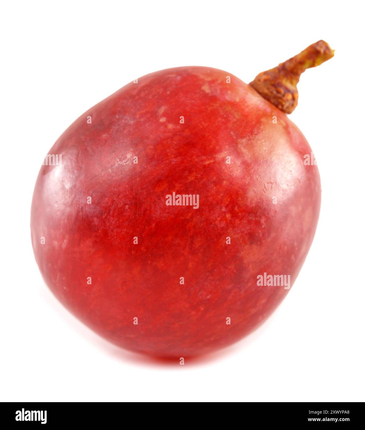 Close up of red grape isolated on white background Stock Photo - Alamy