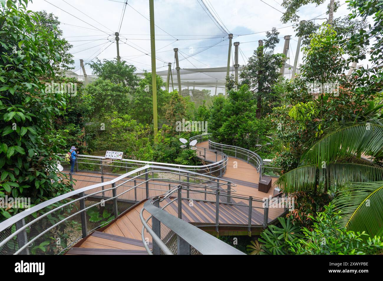 Walkway design. Bird Paradise. Singapore Stock Photo - Alamy