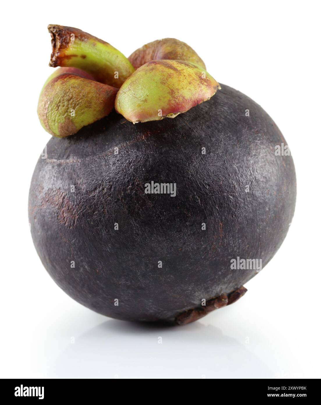 single mangosteen on white background Stock Photo - Alamy