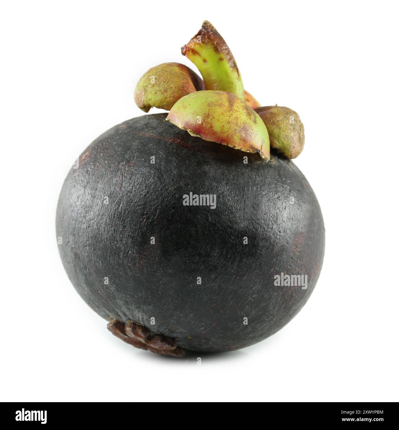 single mangosteen on white background Stock Photo - Alamy