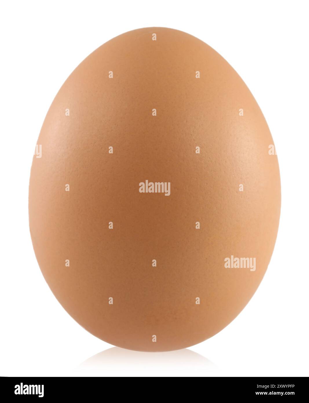 Single brown chicken egg isolated on white Stock Photo - Alamy
