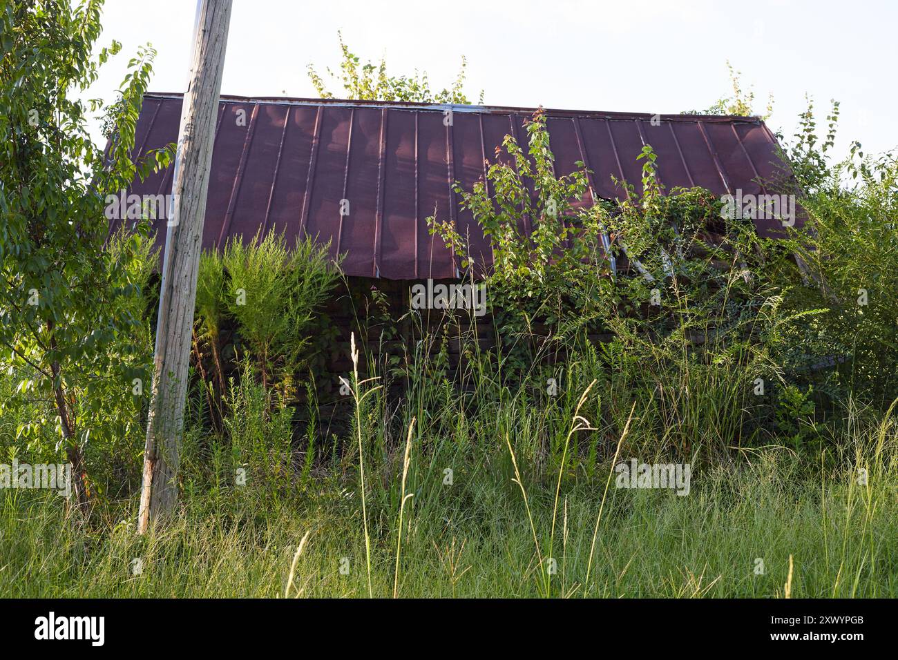 Georgia farm farming agriculture hi-res stock photography and images ...