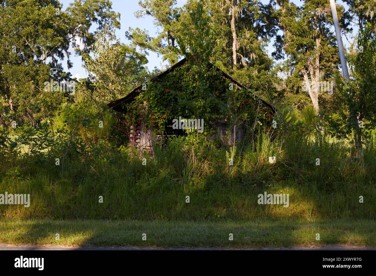 Georgia farm farming agriculture hi-res stock photography and images ...