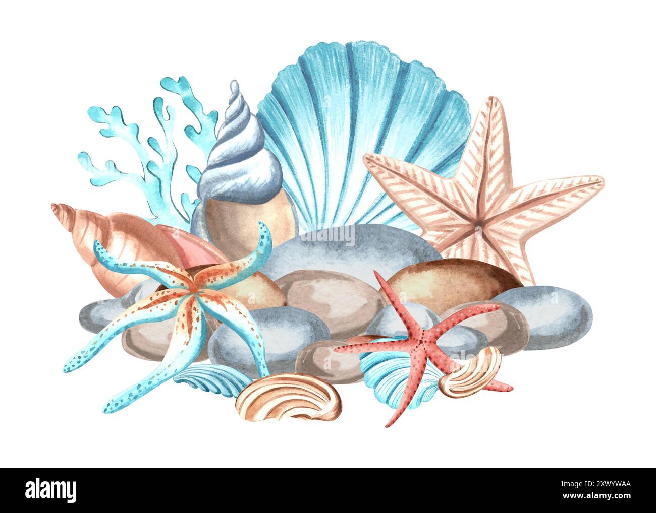 Shells and starfishes with coral. Hand drawn watercolor illustration ...