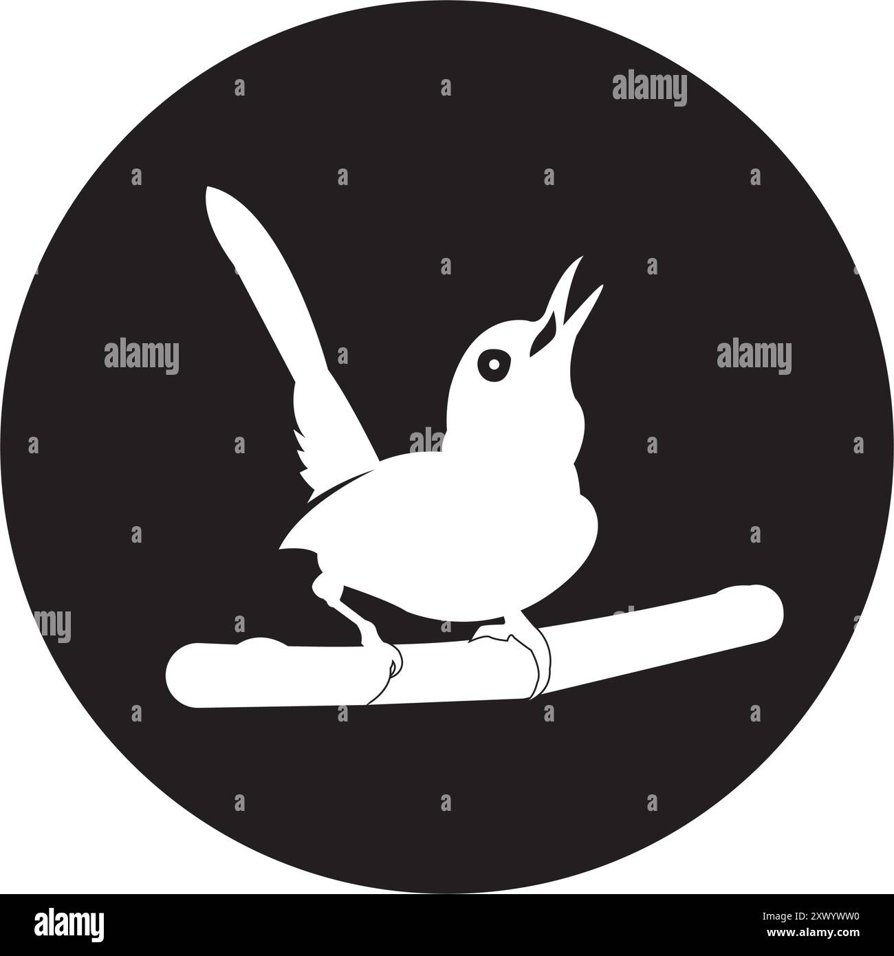Small beautiful bird common Black and White Stock Photos & Images - Alamy