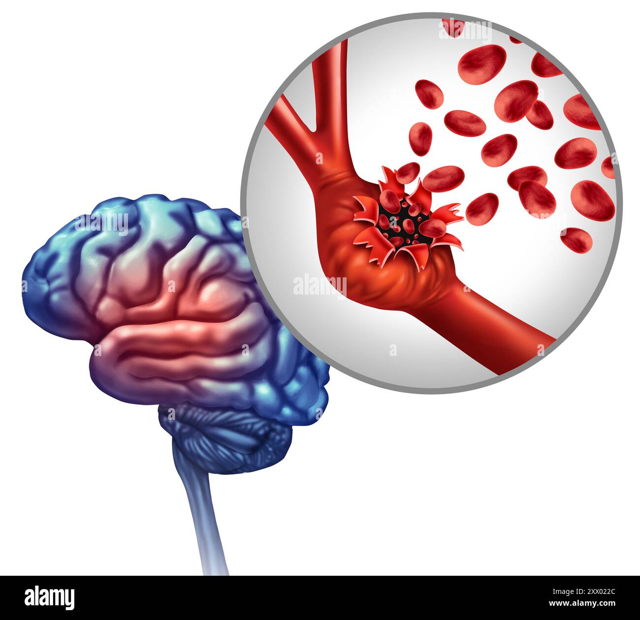 Blood flow in vessel hi-res stock photography and images - Alamy