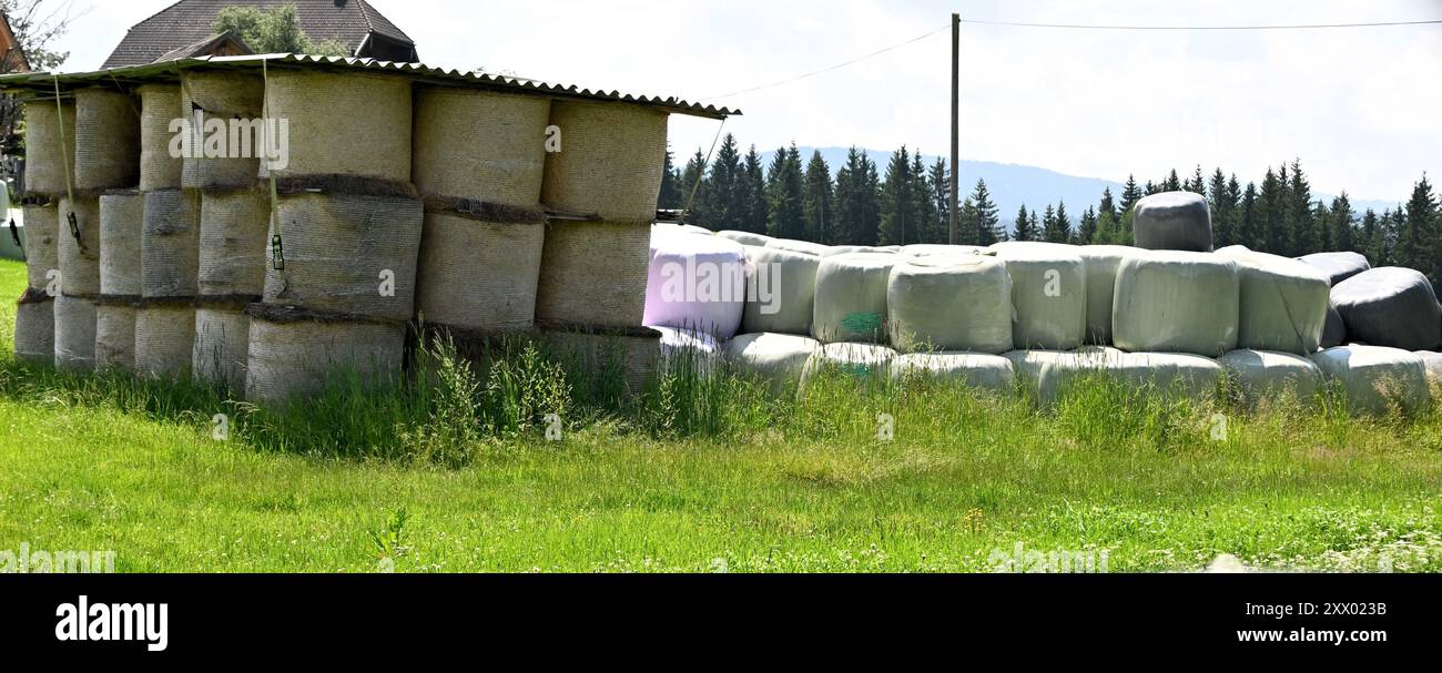 THEME PICTURE - Project 'image of the future': SILAGE BALES/SILAGE ...