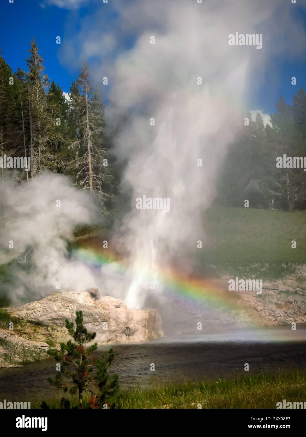 Geyser yellowstone eruption rainbow hi-res stock photography and images ...