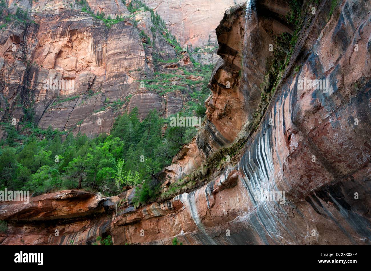 Emerald Falls Zion Stock Photo - Alamy
