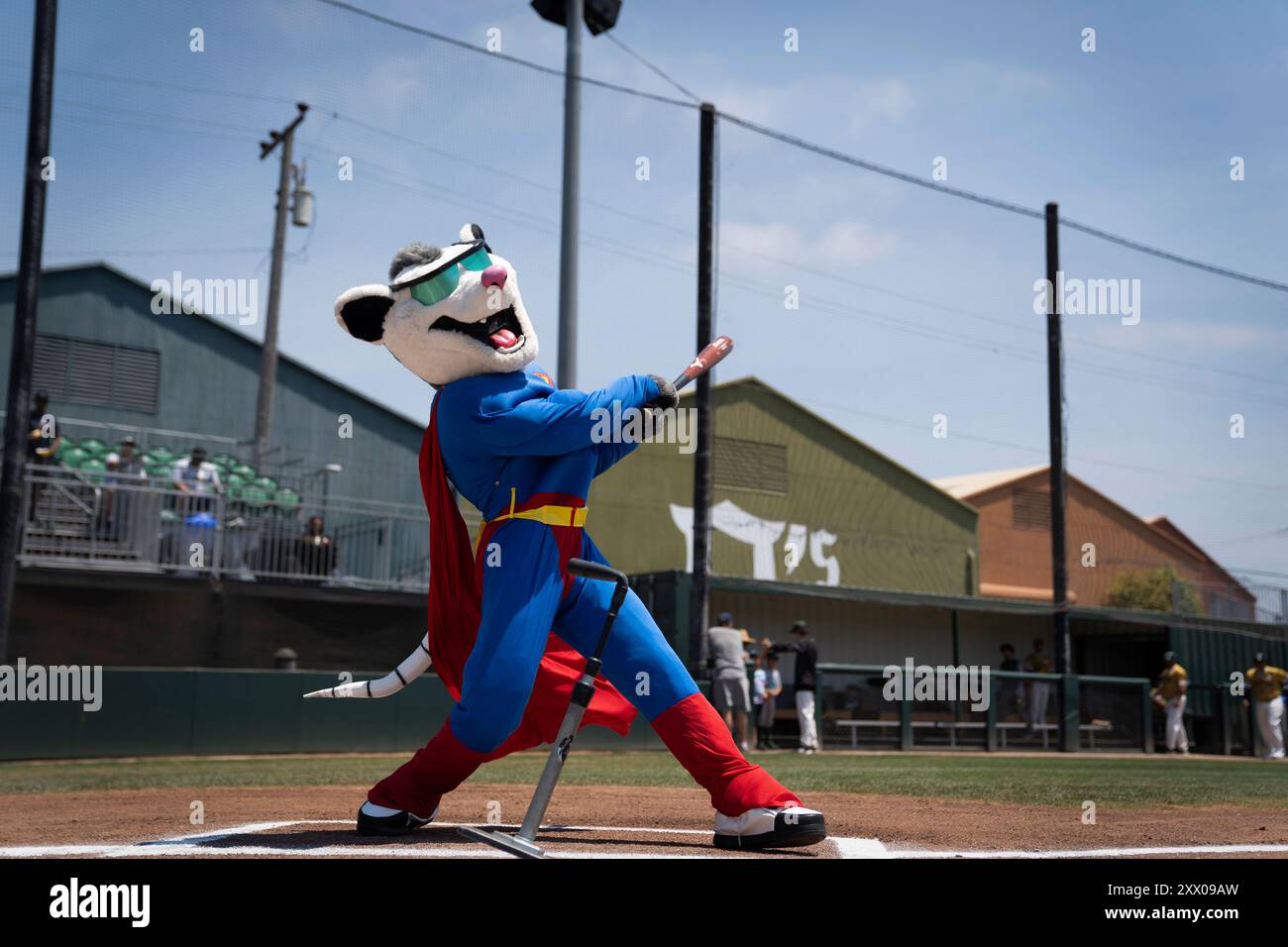 Oakland Ballers mascot Scrappy the possum makes the ceremonial first ...