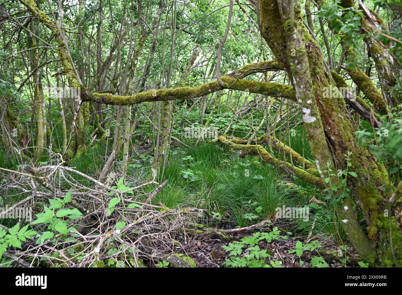 THEME PICTURE - Project 'image of the future': Illustration on the ...